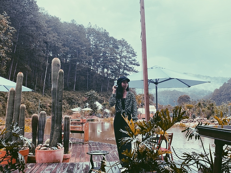 Hôtel Colline Đà Lạt